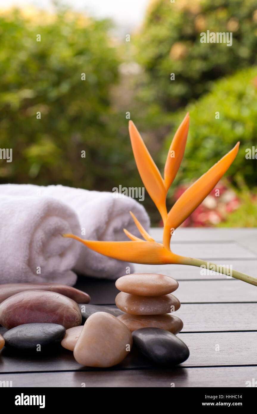 flower, plant, towel, massage, spa, mineral spring, medicinal spring ...