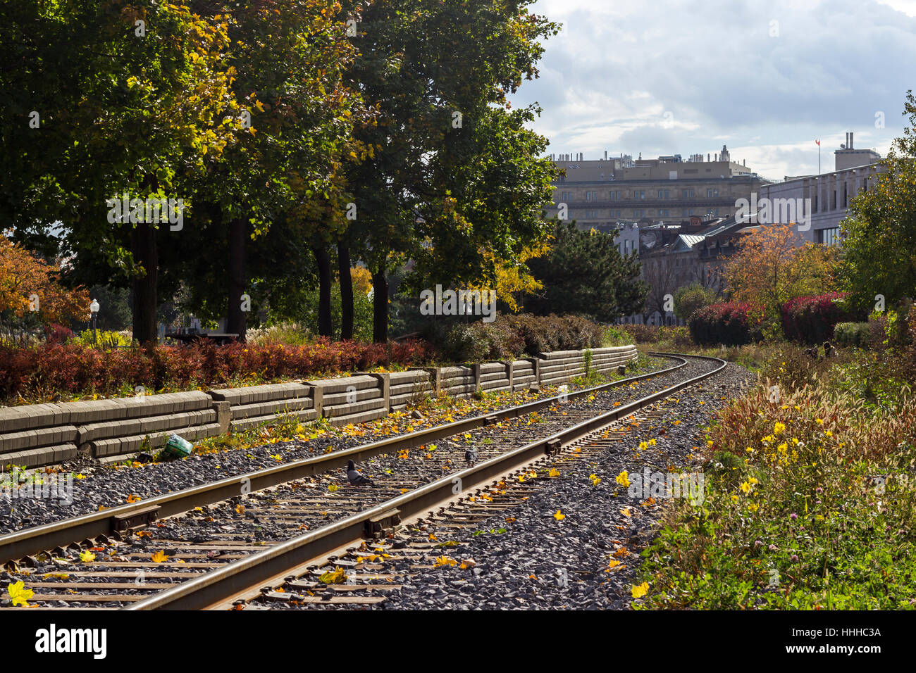 Old rail road in Old Port of Montreal during Autumn Stock Photo - Alamy