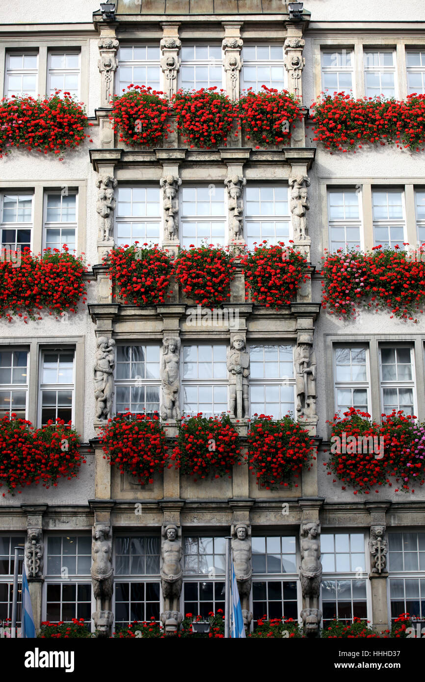 flower, flowers, plant, bavaria, front, munich, facade, decoration ...