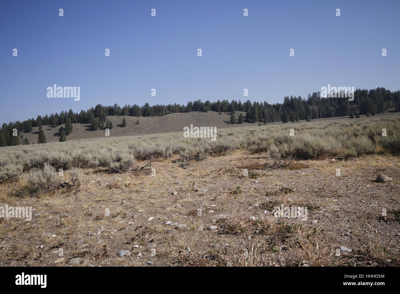 travel, tree, trees, mountains, desert, wasteland, tourism, sight, view ...