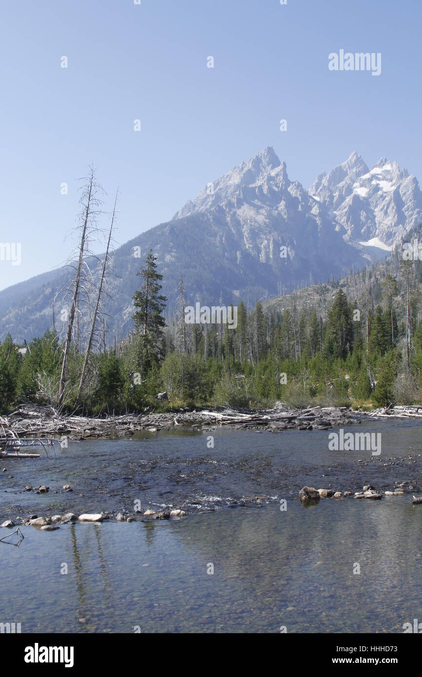 travel, tree, trees, mountains, desert, wasteland, tourism, sight, view ...