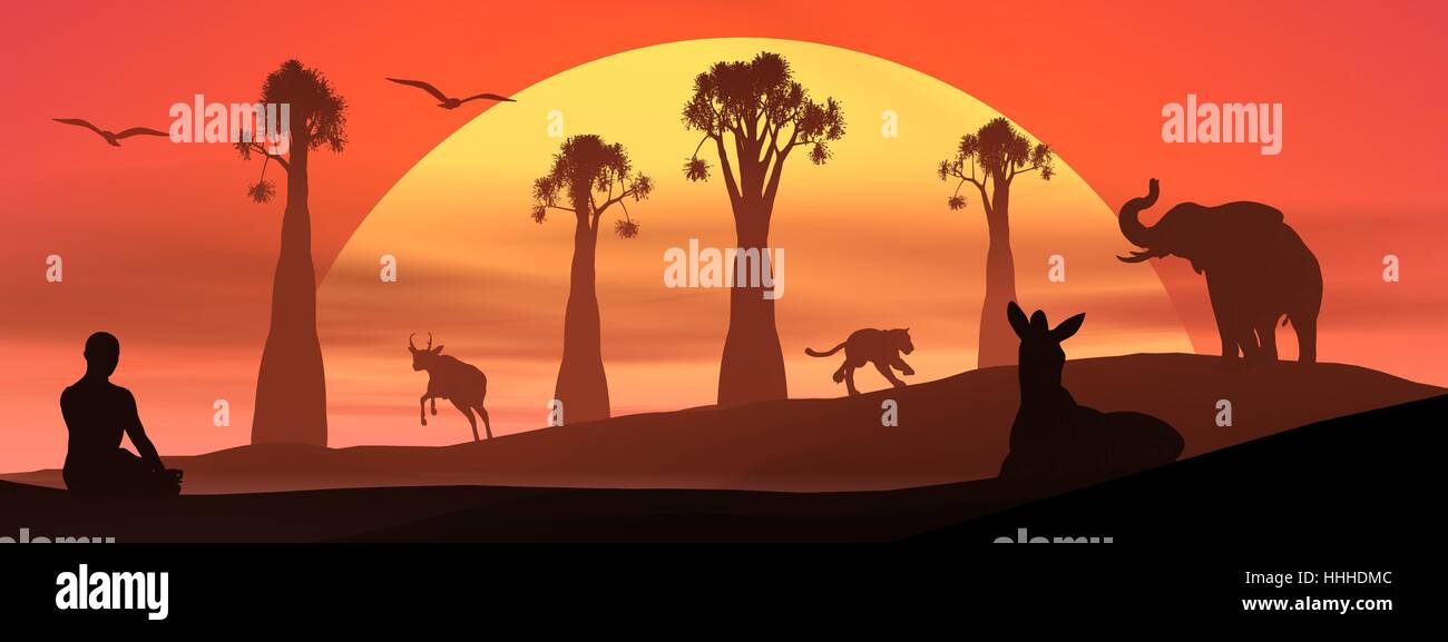 Human meditating in front of nature and wildlife by sunset Stock Photo ...