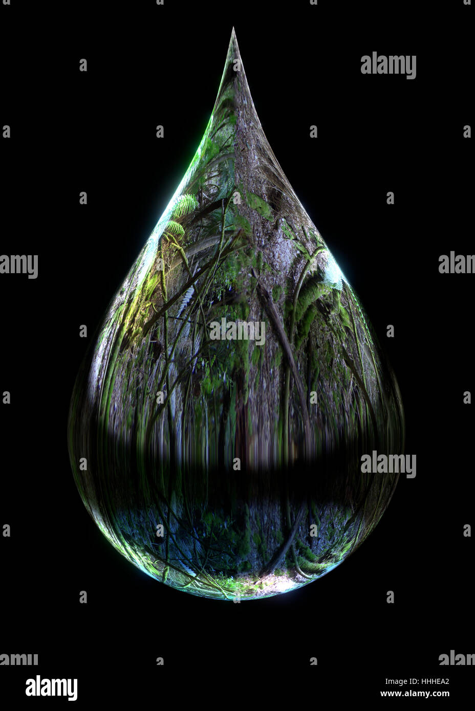 environment, enviroment, reflection, drop, water, nature, drip, drops ...