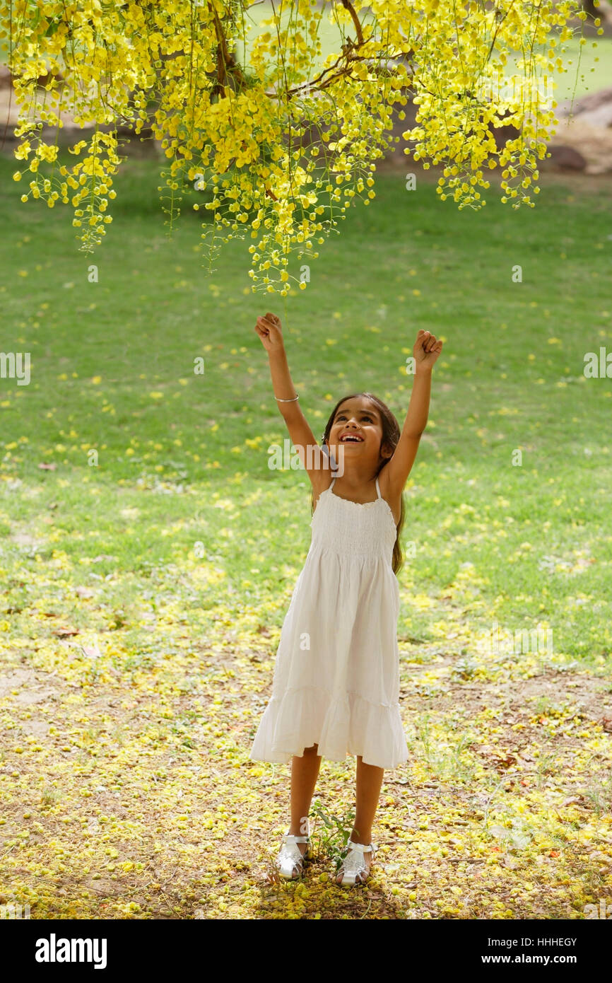 little girl reaching up to tree Stock Photo - Alamy