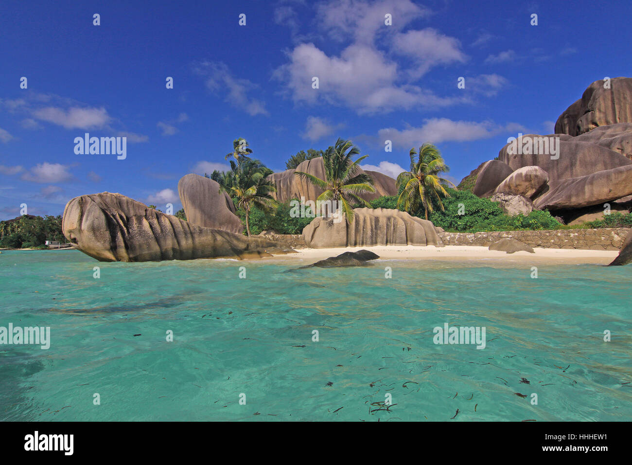 Bacardi isle hi-res stock photography and images - Alamy