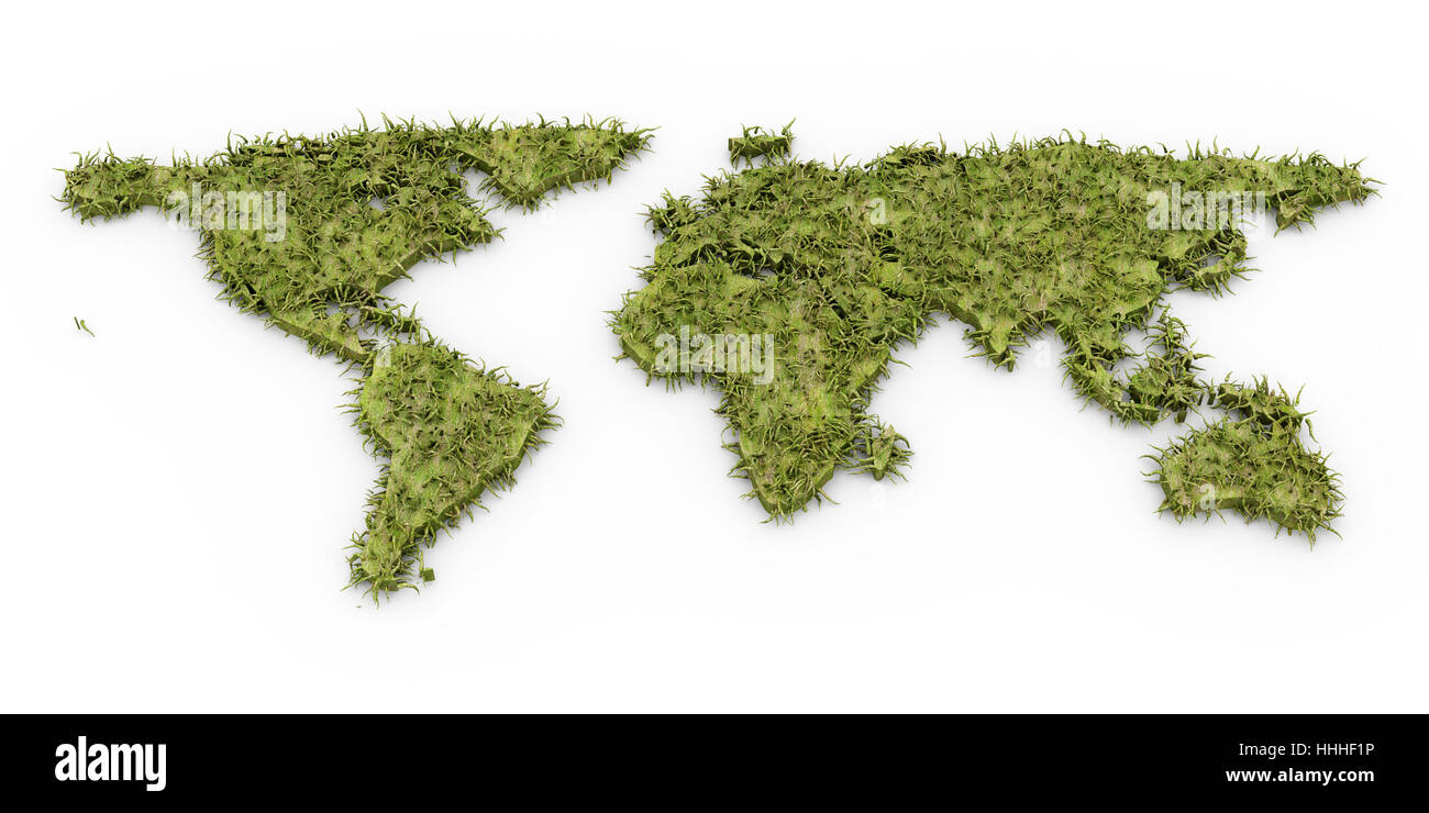 leaf, eco, environment, enviroment, isolated, graphic, science, botany ...