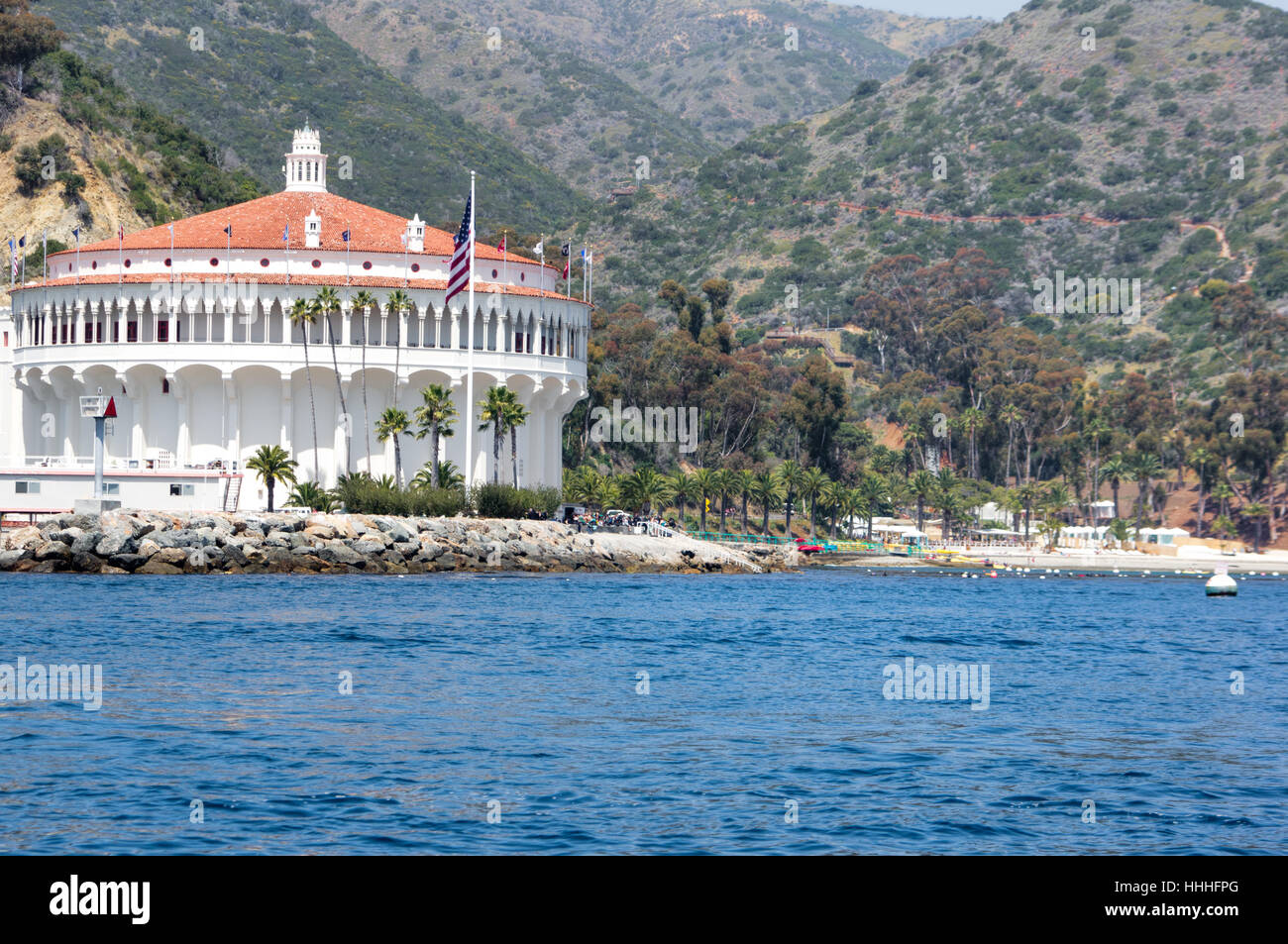 bird, birds, sail, pacific, salt water, sea, ocean, water, boats ...