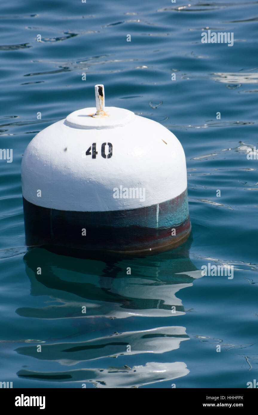 bird, birds, sail, pacific, salt water, sea, ocean, water, boats ...
