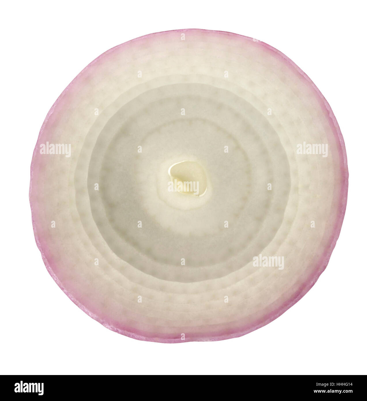 cross section of a onion in white back Stock Photo - Alamy