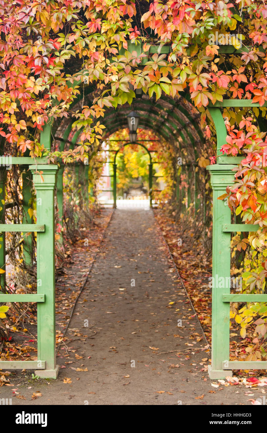 abandon, go away, depart, disappear, vanishing, stairs, walk, go, going ...