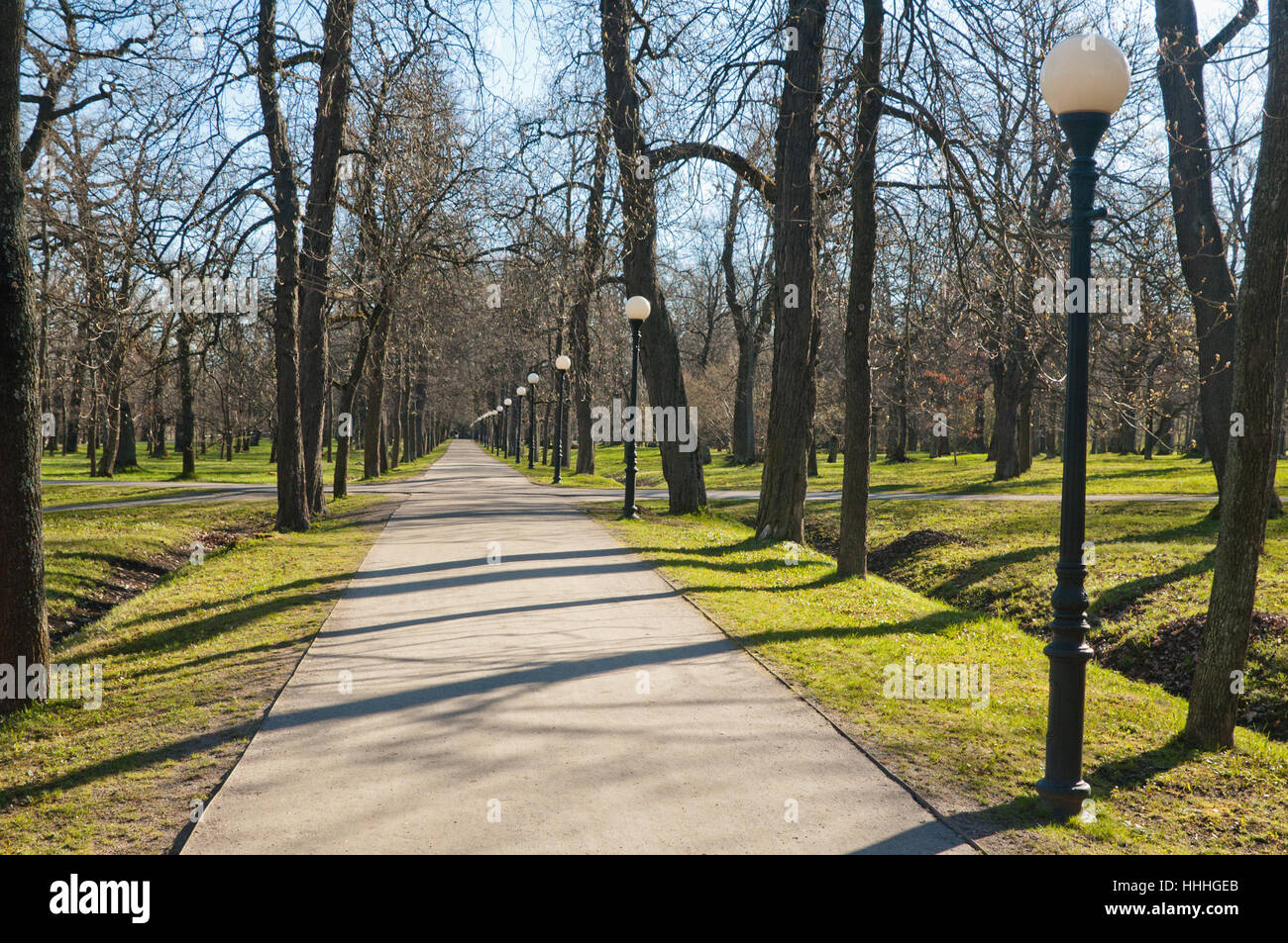 beautiful, beauteously, nice, environment, enviroment, colour, tree ...