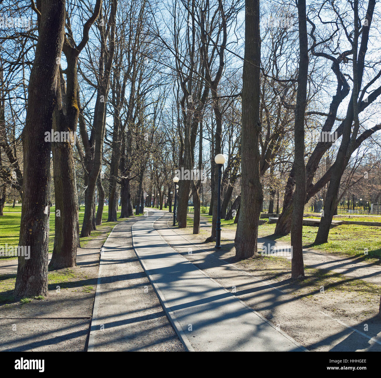 beautiful, beauteously, nice, environment, enviroment, colour, tree ...