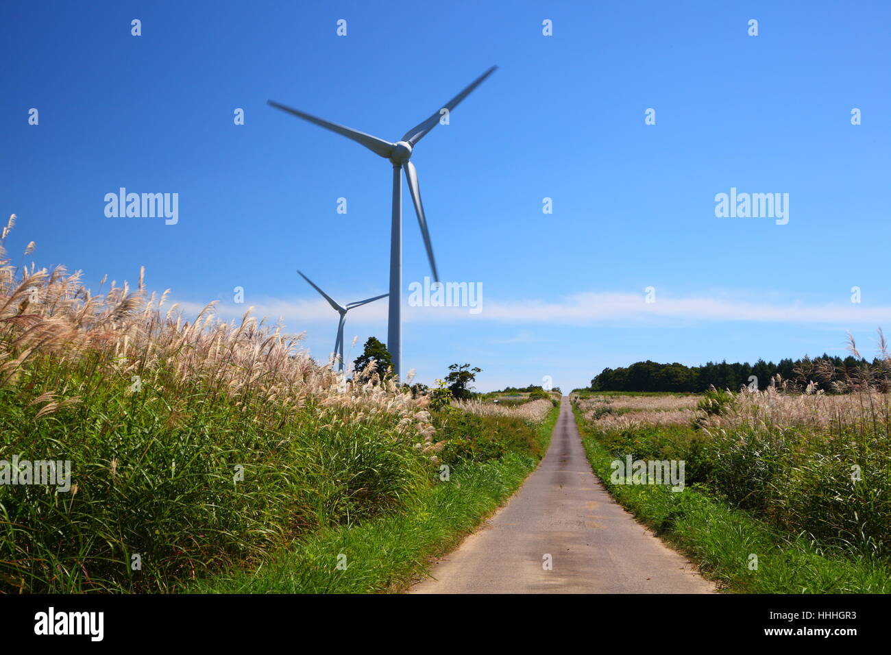 environment, enviroment, energy, power, electricity, electric power ...