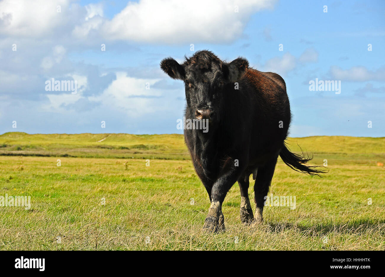 Deep black hi-res stock photography and images - Alamy