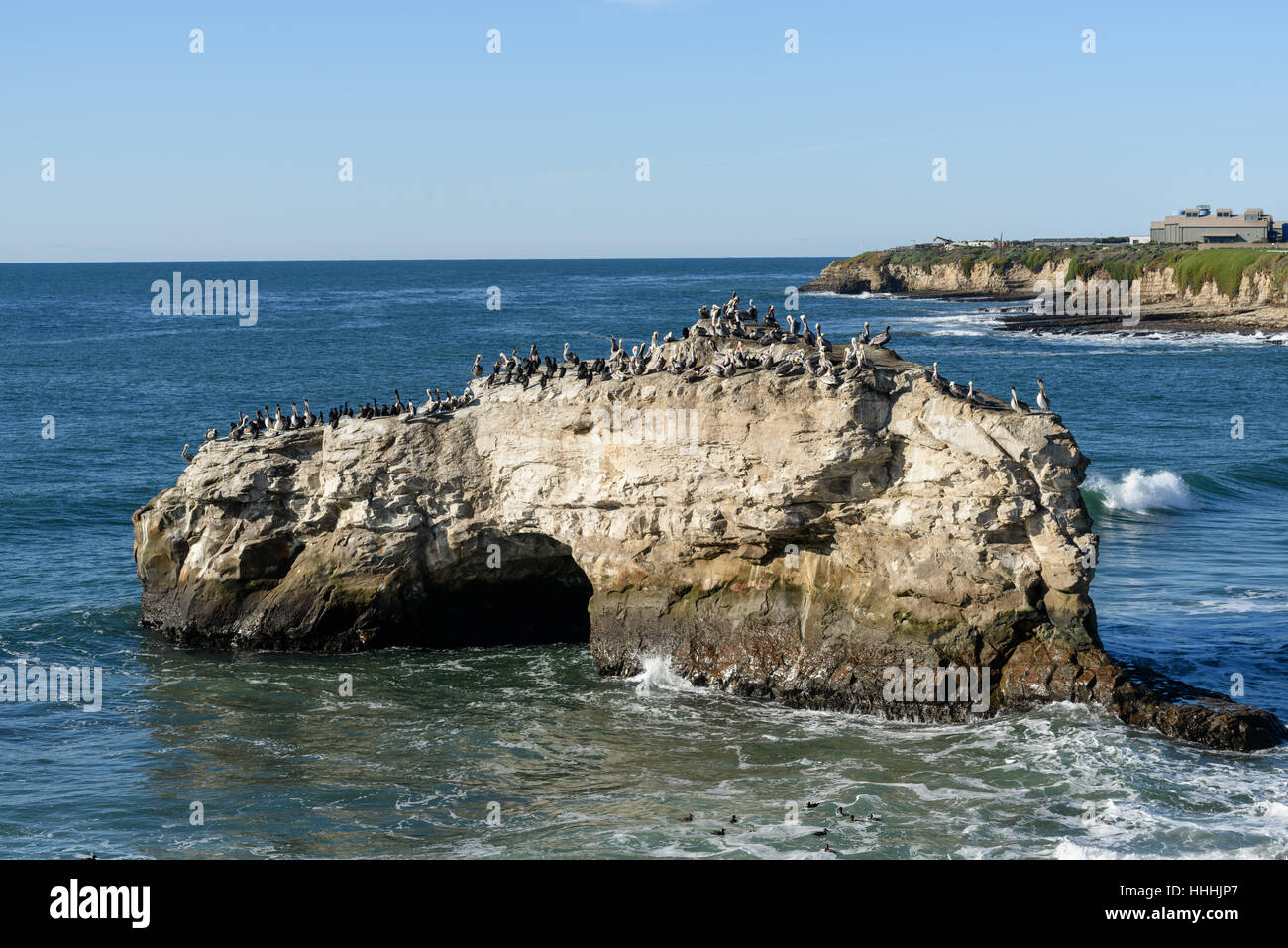 A number of birds on Natural Bridge rock, Pacific Ocean along Big Sur ...