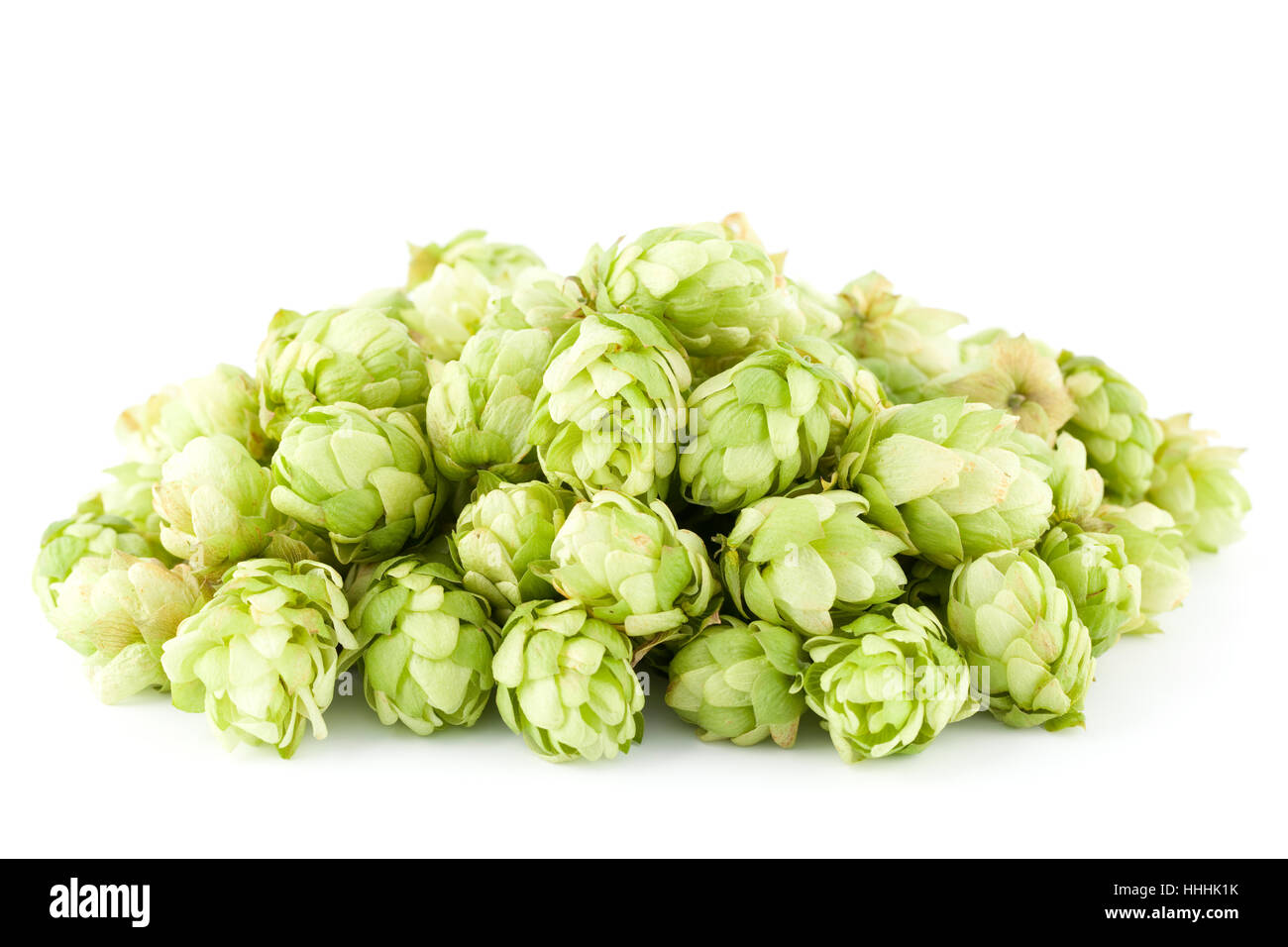 spice, hop, lawn, green, fresh, plant, macro, close-up, macro admission ...