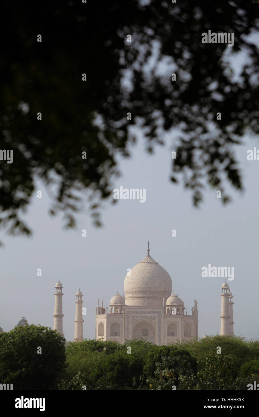 A bird flying past the taj mahal hi-res stock photography and images ...