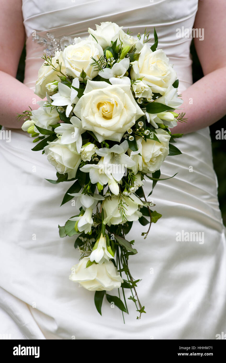 flower, rose, plant, wedding, marriage, marriage ceremony, wedding ...