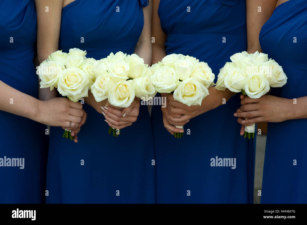 blue, flower, rose, plant, wedding, marriage, marriage ceremony ...