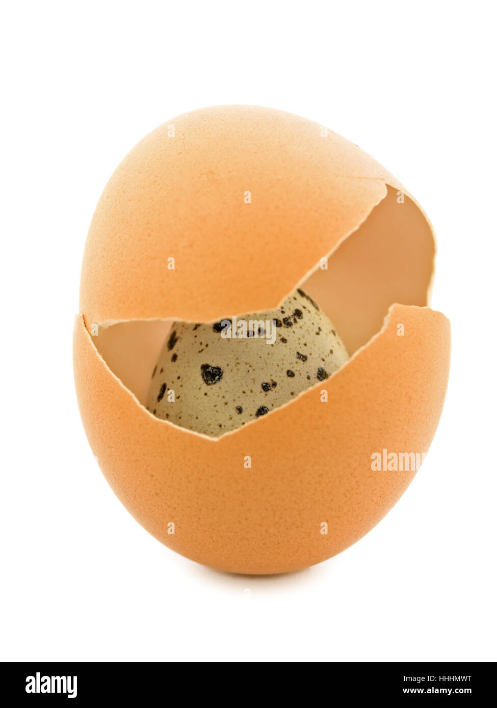 egg, food, aliment, shell, diet, raw, spotted, egg, eggshell, speckled ...