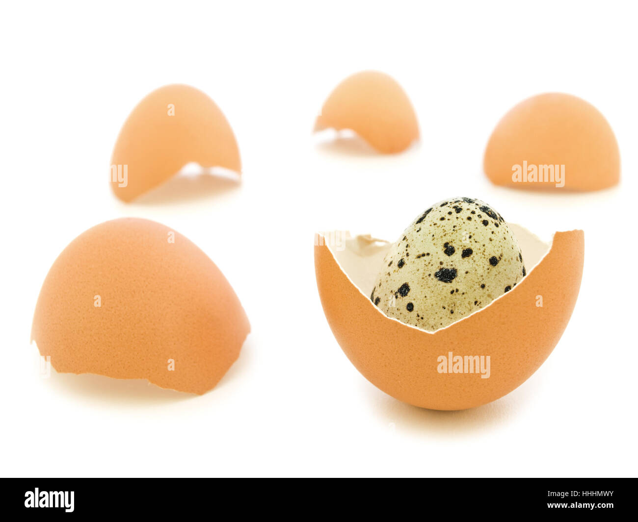 egg, food, aliment, shell, diet, raw, spotted, egg, eggshell, speckled ...