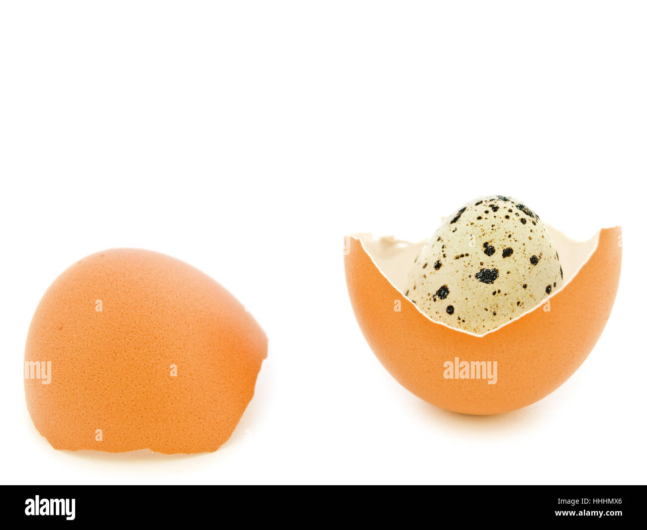 egg, food, aliment, shell, easter, diet, raw, spotted, egg, eggshell ...