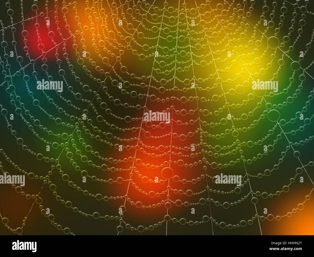 danger, animal, spider, drop, cobweb, trap, water, nature, net, spiders ...