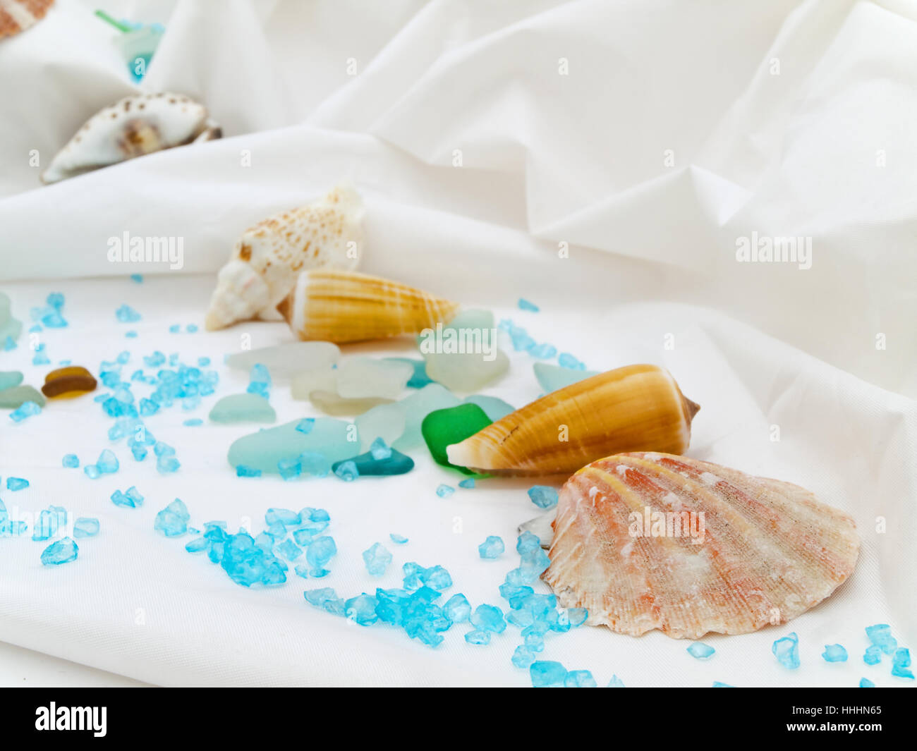 shell, beautiful, beauteously, nice, object, travel, beach, seaside ...