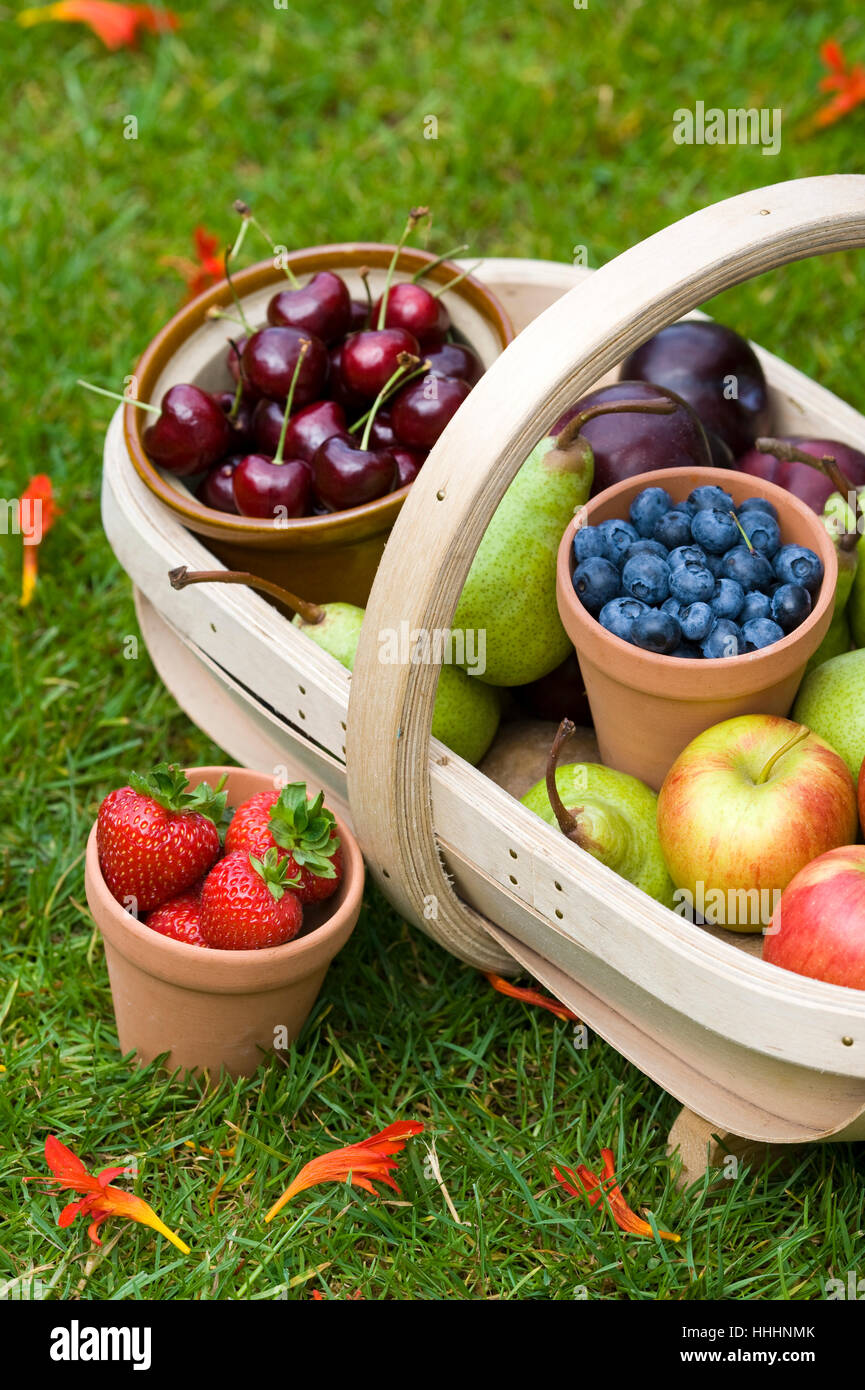 pick, food, aliment, garden, wood, summer, summerly, harvest, basket ...