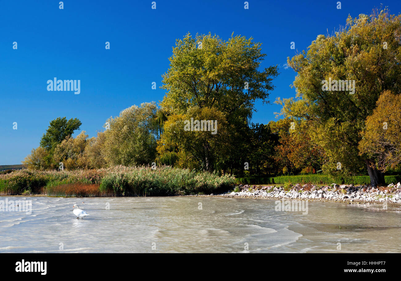 environment, enviroment, tourism, hungary, fresh water, lake, inland ...