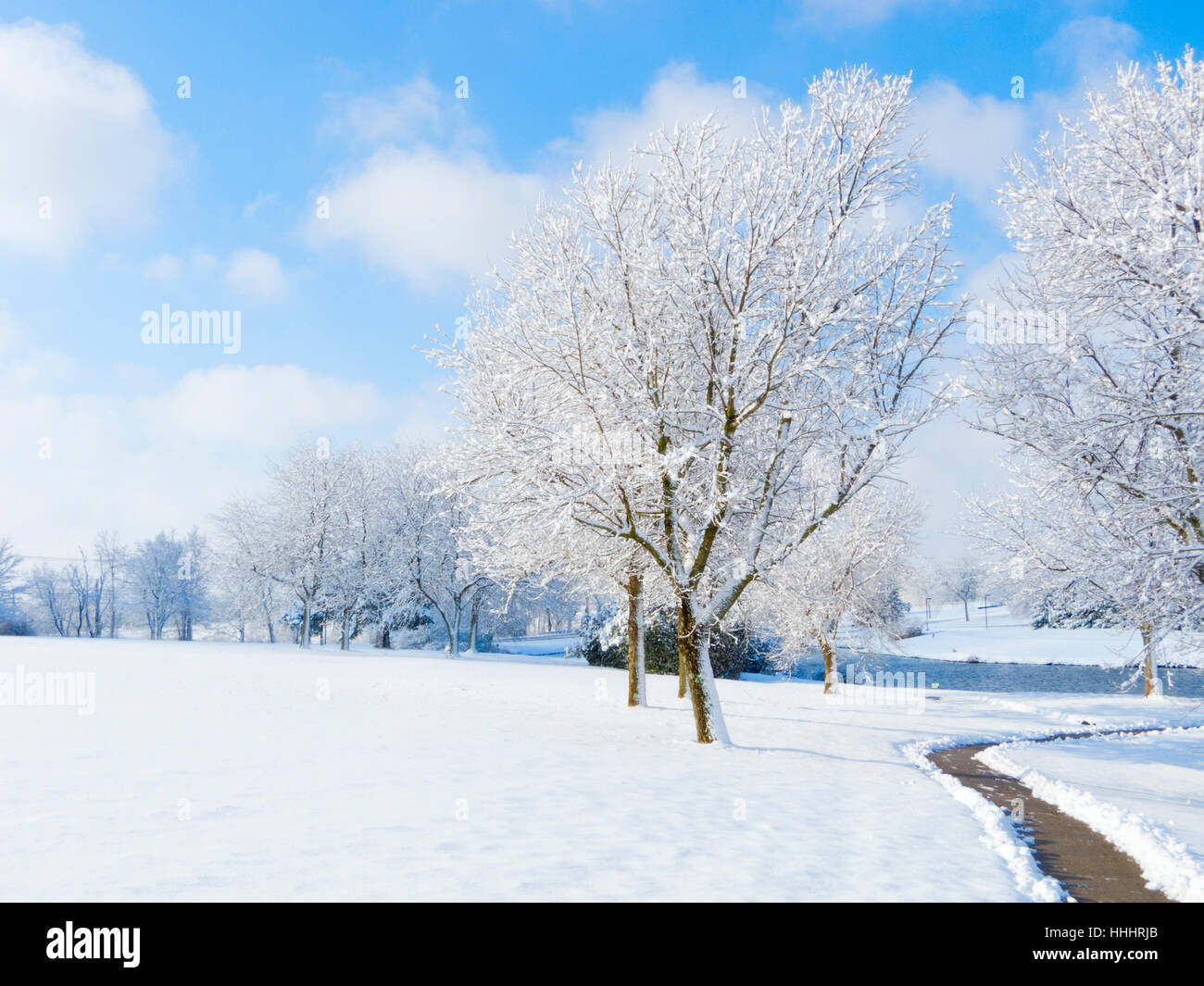 park, winter, snow, coke, cocaine, material, drug, anaesthetic ...
