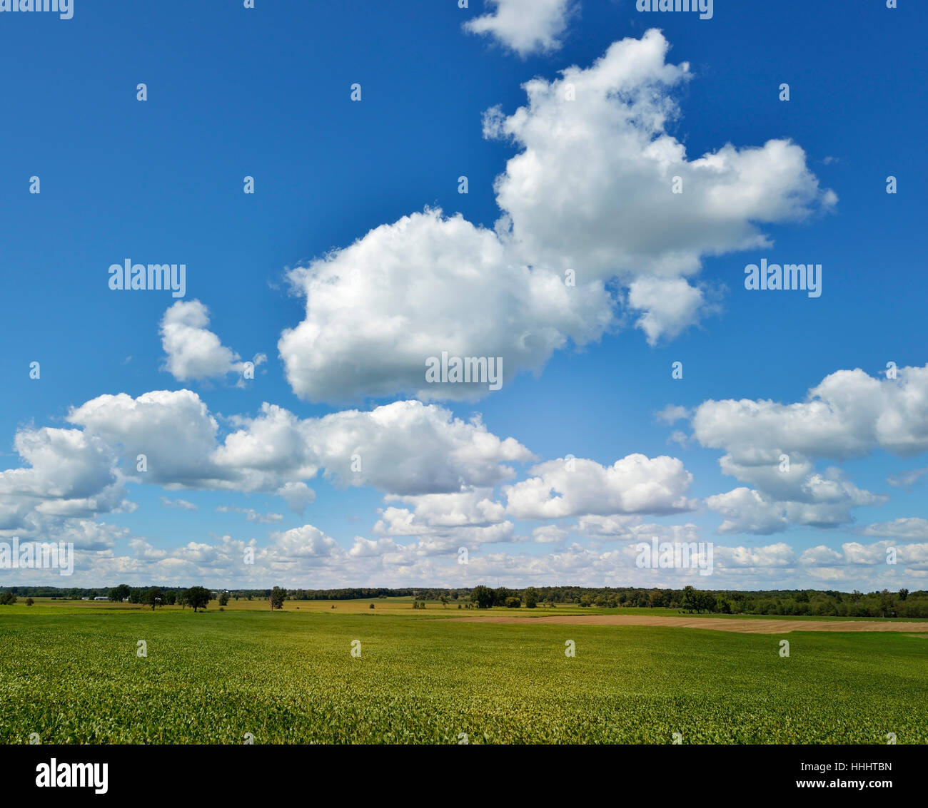 field, sight, view, outlook, perspective, vista, panorama, lookout ...