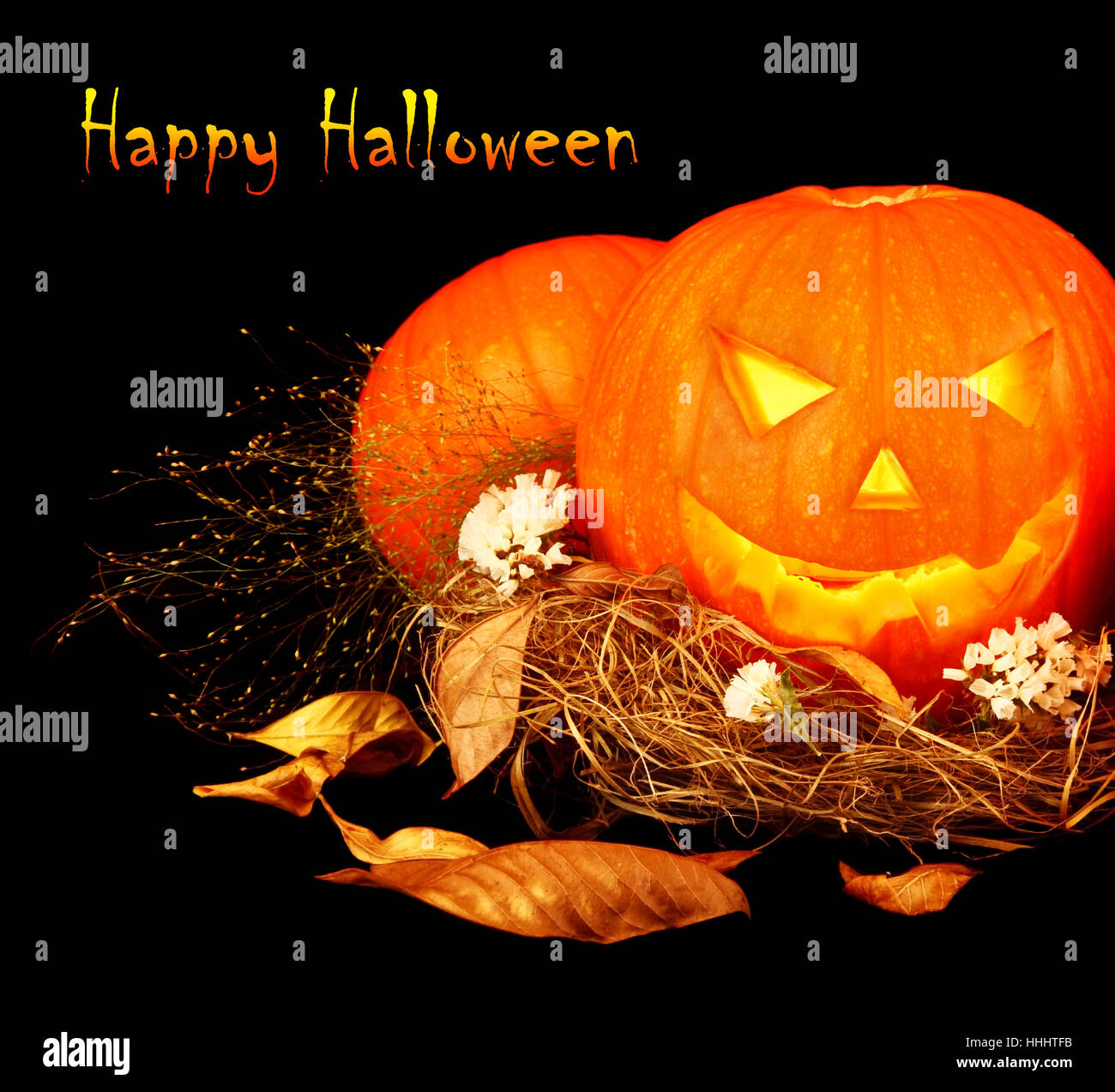 Deep cut leaves hi-res stock photography and images - Alamy