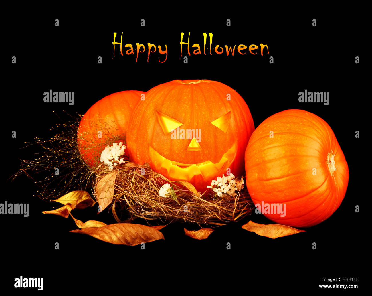 Deep cut leaves hi-res stock photography and images - Alamy