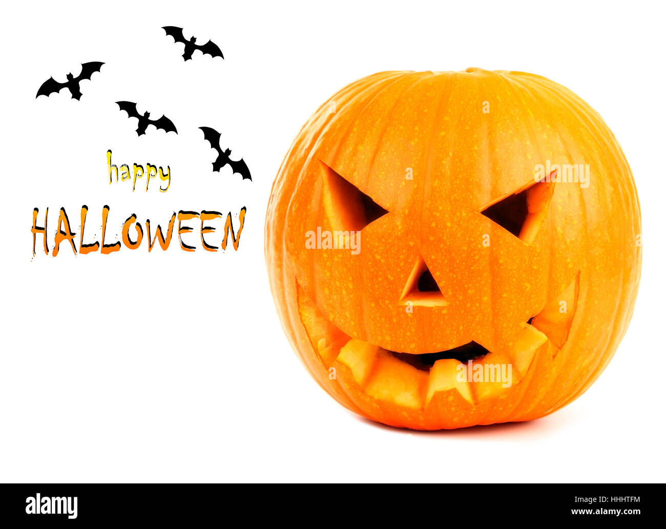 holiday, halloween, pumpkin, magic, carved, bats, backdrop, background ...