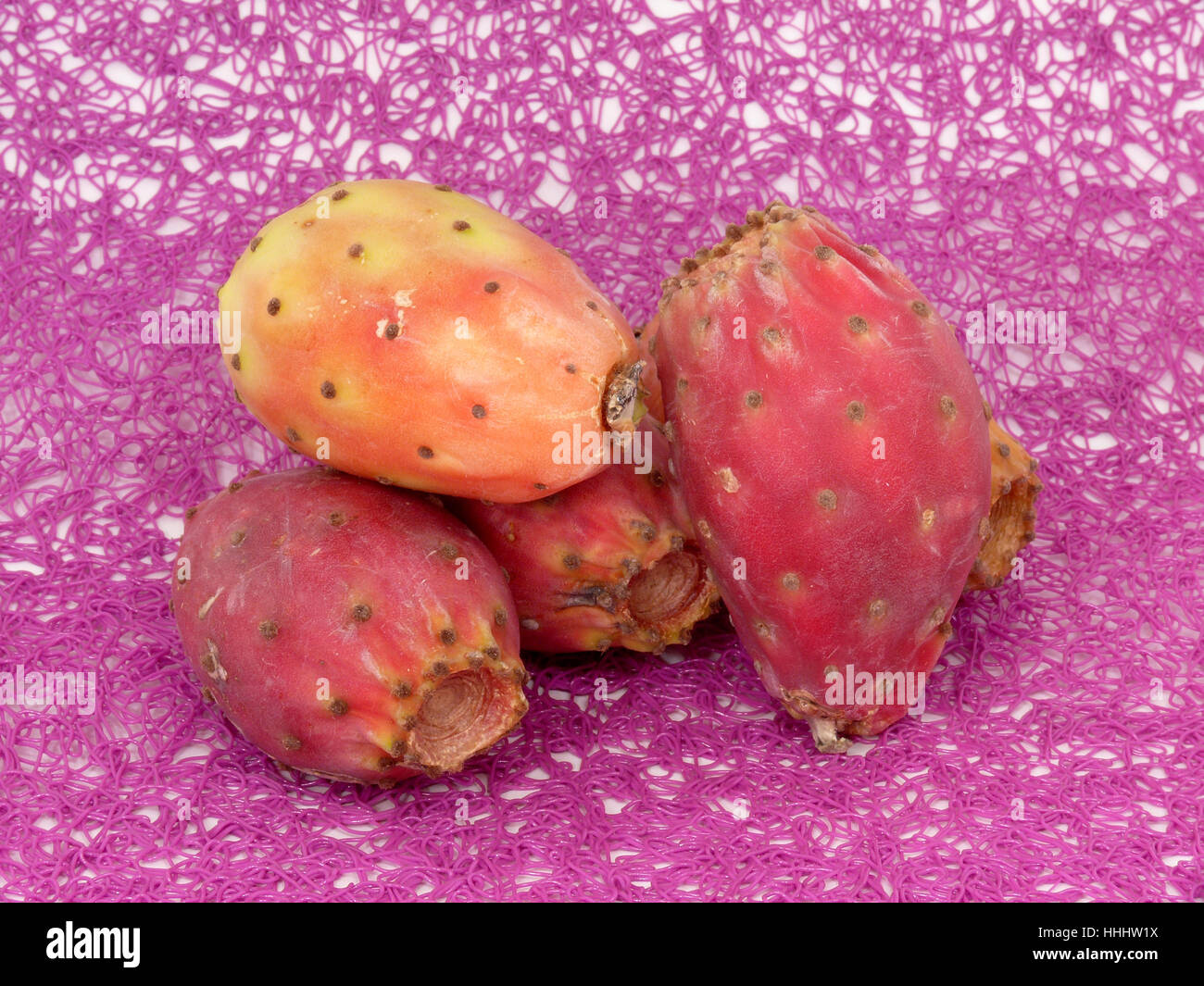 flower, rose, plant, cactus, fig, figs, flower, rose, plant, fruit ...