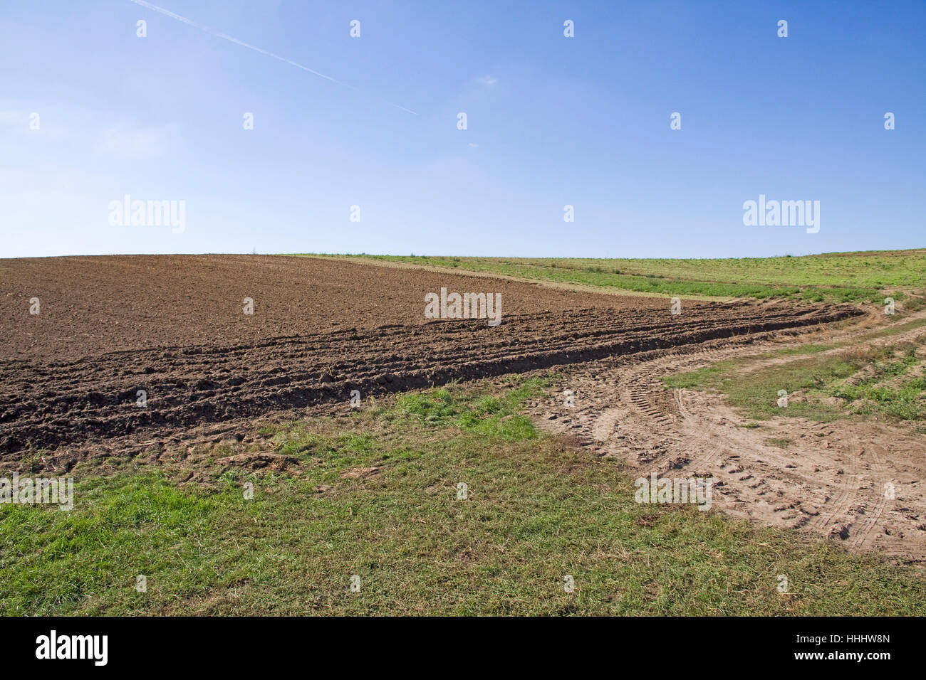 environment, enviroment, horizon, brown, brownish, brunette ...