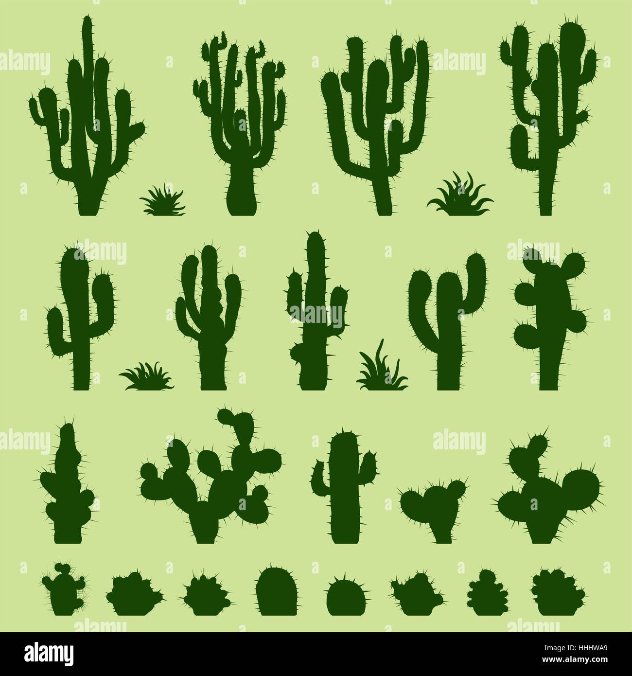 Cacti plant Stock Vector Images - Alamy