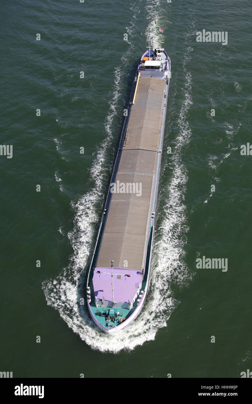 Birds For Export High Resolution Stock Photography and Images - Alamy