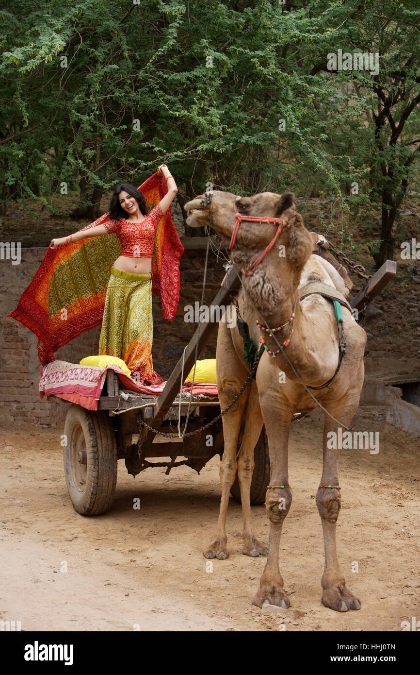 young woman in sari, posing on camel cart Stock Photo - Alamy