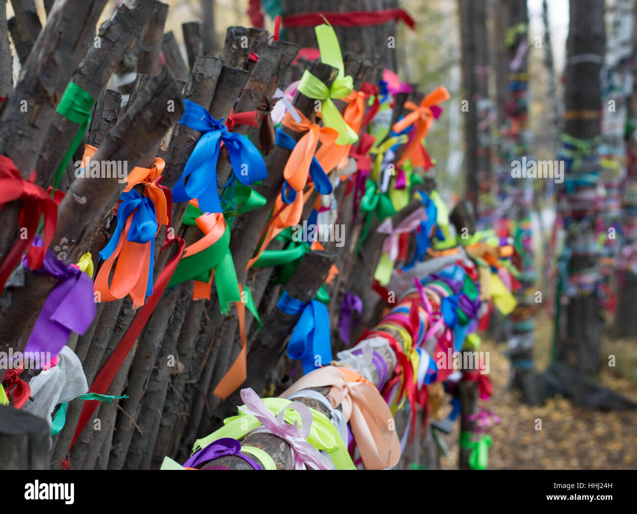 Close up of many colorful satin ribbons tied to wood fence by couples ...