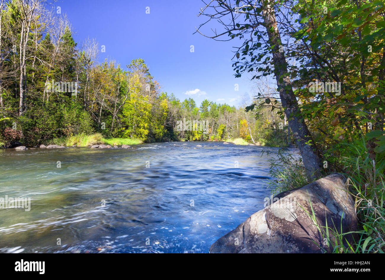 blue, tree, trees, pine, landscape, scenery, countryside, nature ...
