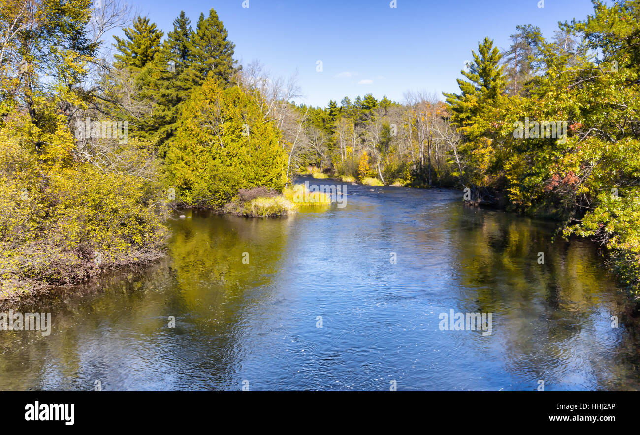 blue, tree, trees, pine, landscape, scenery, countryside, nature ...