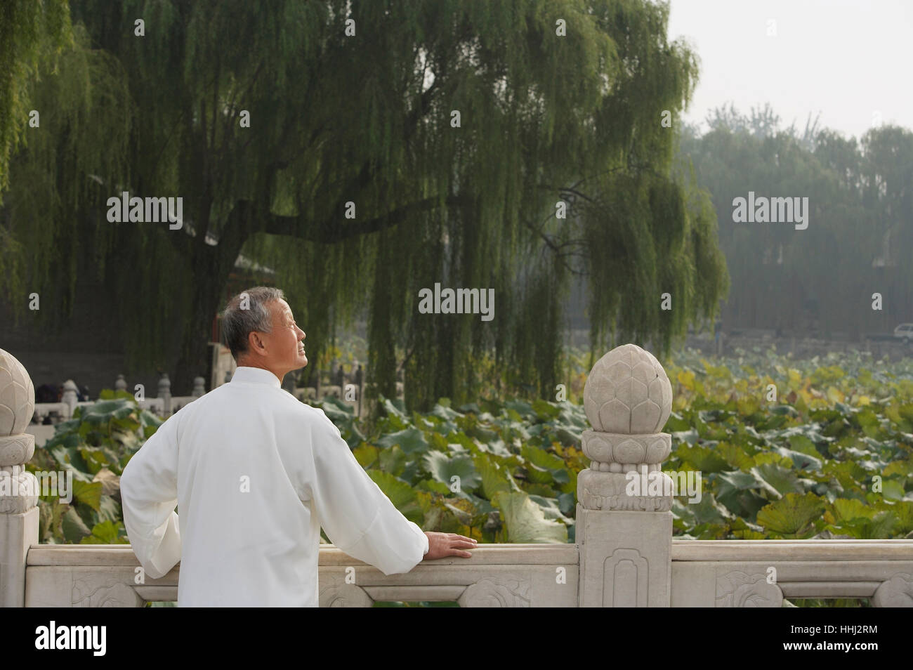 An old man leans on a railing and looks into the distance Stock Photo ...