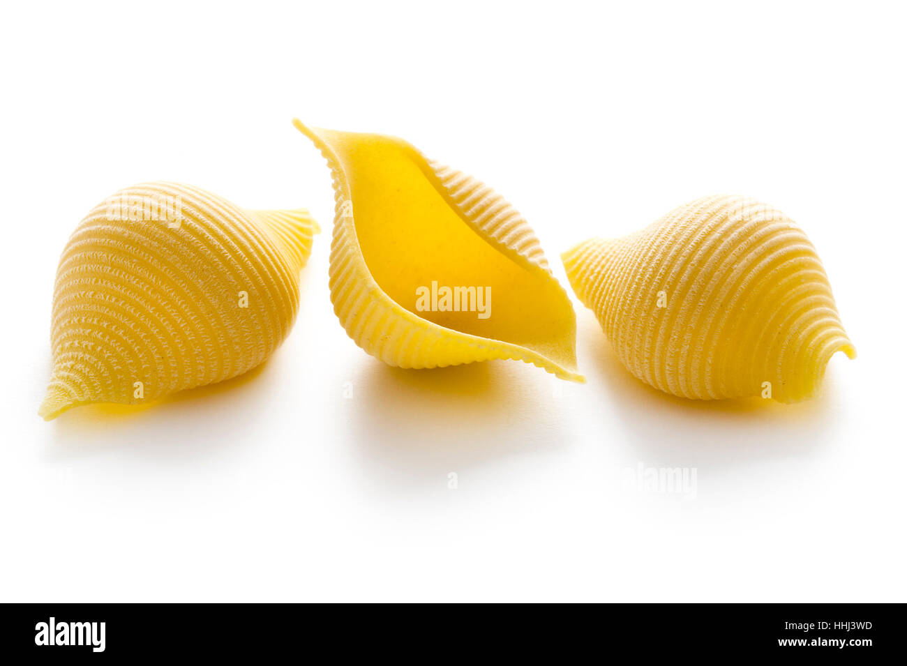 shell, dried, pasta, uncooked, shells, mussels, raw, isolated, shell ...