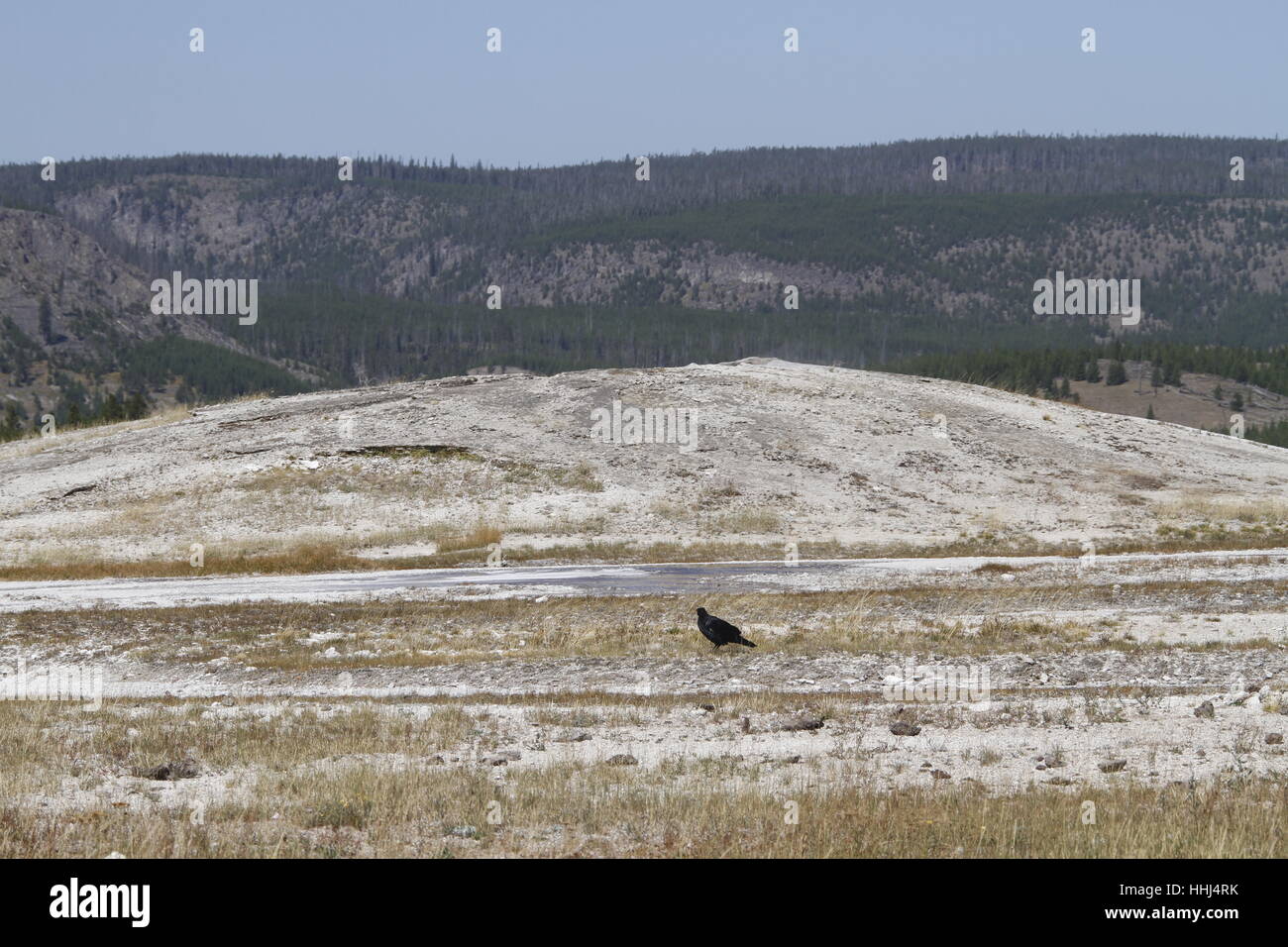 Geyserw hi-res stock photography and images - Alamy