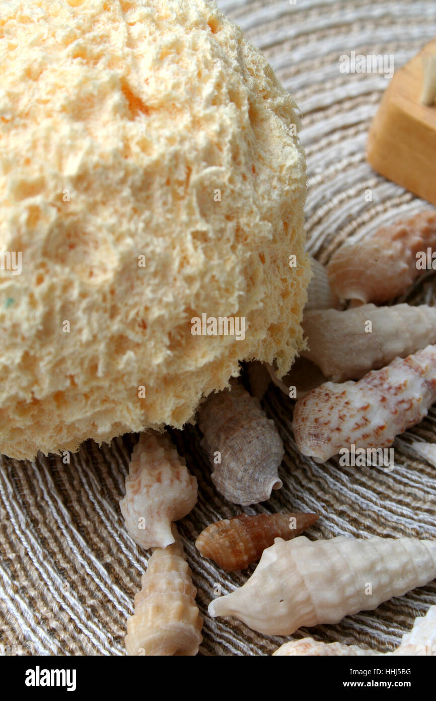 recuperation, sponge, soap, therapy, bathroom, spa, wellness ...