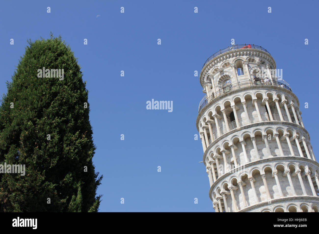 tower, tree, tuscany, slate, pisa, of, from, tower, detail, historical ...