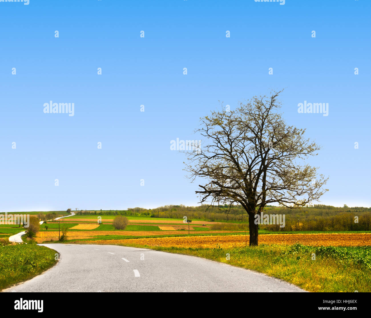 freedom, liberty, landscape, scenery, countryside, nature, road, rural ...