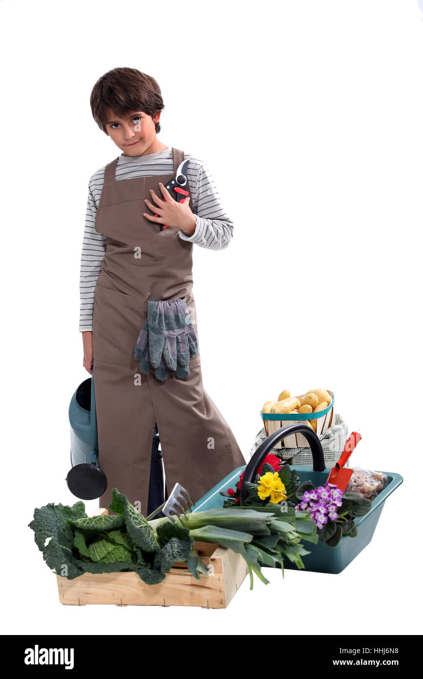 childhood, chores, cleaning, boy, lad, male youngster, assistance, help ...